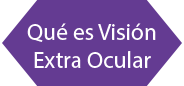 Acerca de Visión ExtraOcular | Visión Extra Ocular